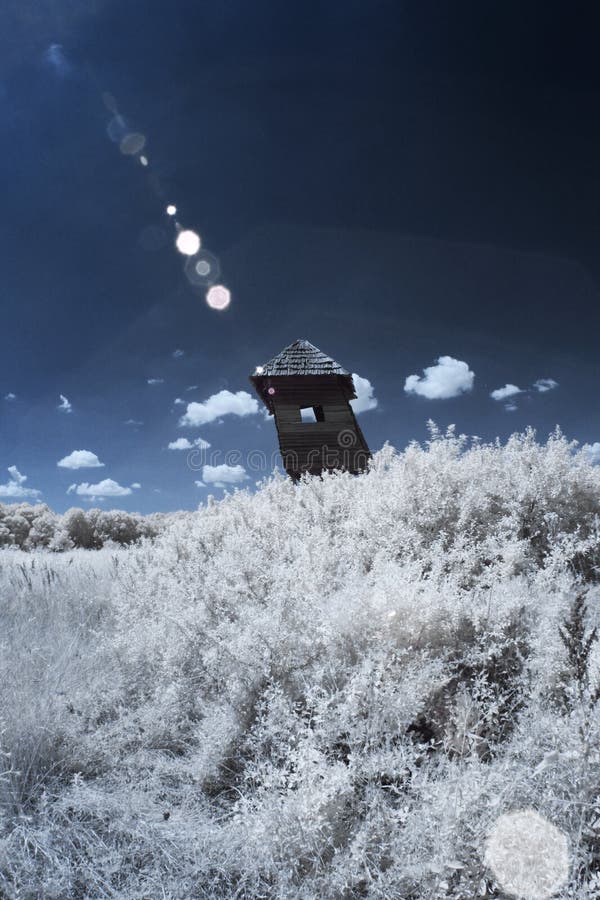 Infrared Landscape and Details Stock Photo - Image of white, color ...