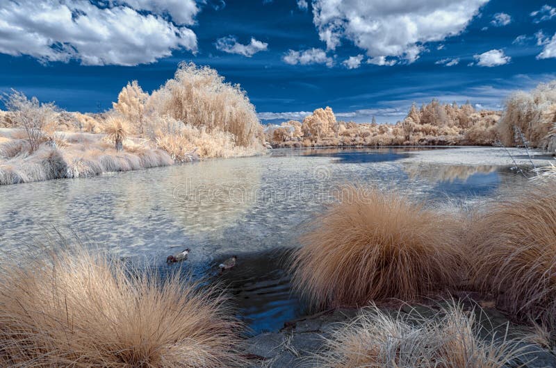 Infrared Landscape in False Colors of a Lake and Foliage Stock Photo ...