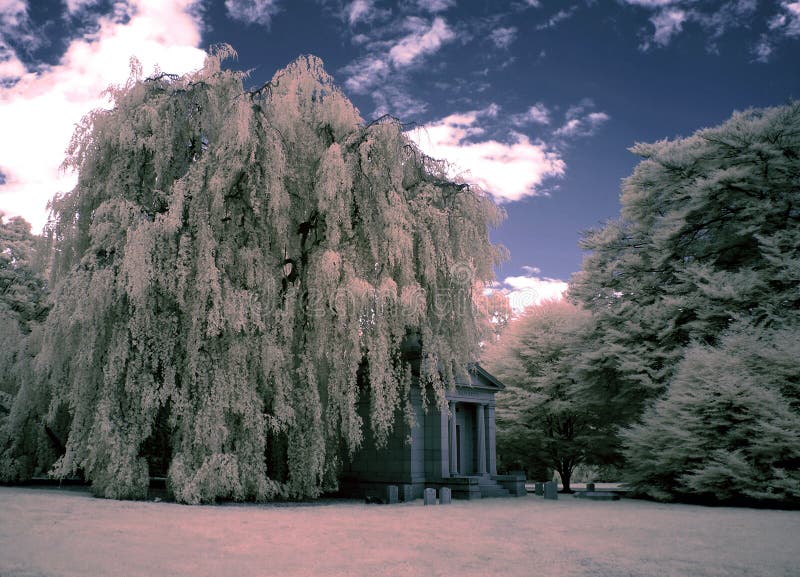 Infrared Landscape stock photo. Image of field, summer - 211777112