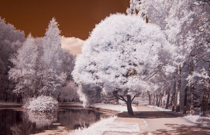 Infrared landscape stock image. Image of public, rest - 42183999