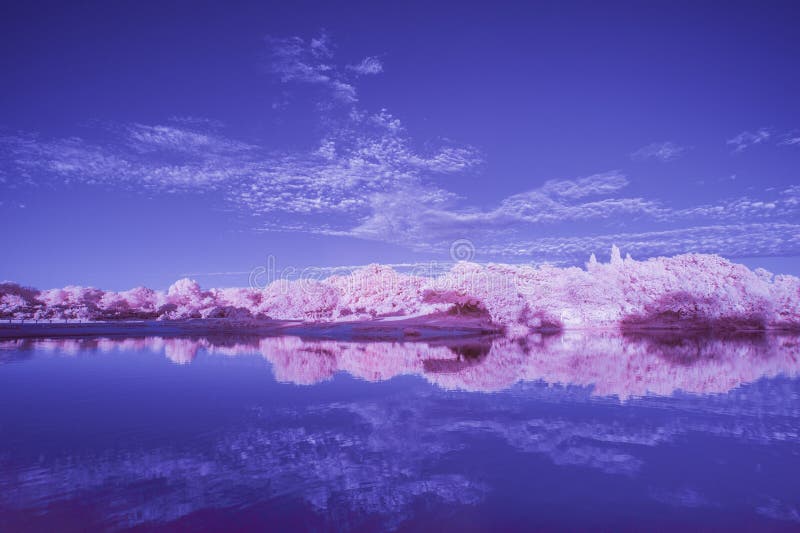 Infrared Landscape in Summer Sunset Over Lake Stock Image - Image of ...