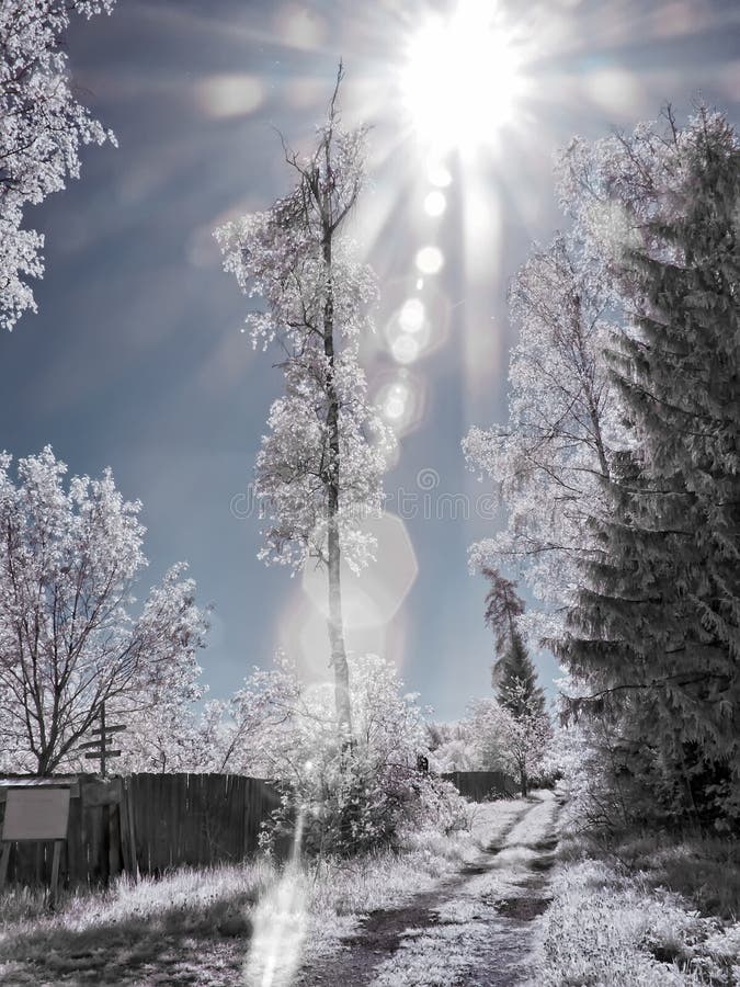 Infrared photograph. Sun stock image. Image of landscape - 21071449