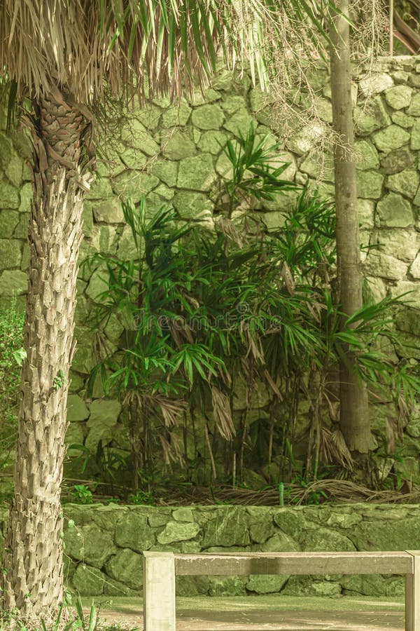 Infrared Photography, a Natural Setting with a Stone Wall As the ...