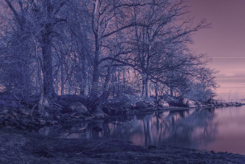 Infrared Surreal Landscape and Sea with Sky Reflections Stock Photo ...