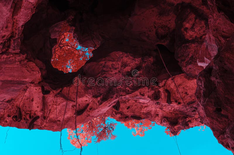 Infrared Techniques, a Stunning View from within a Cave, Looking Up ...