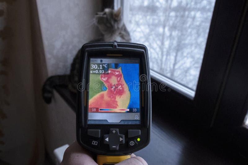 Infrared Cat Stock Photos - Free & Royalty-Free Stock Photos from ...