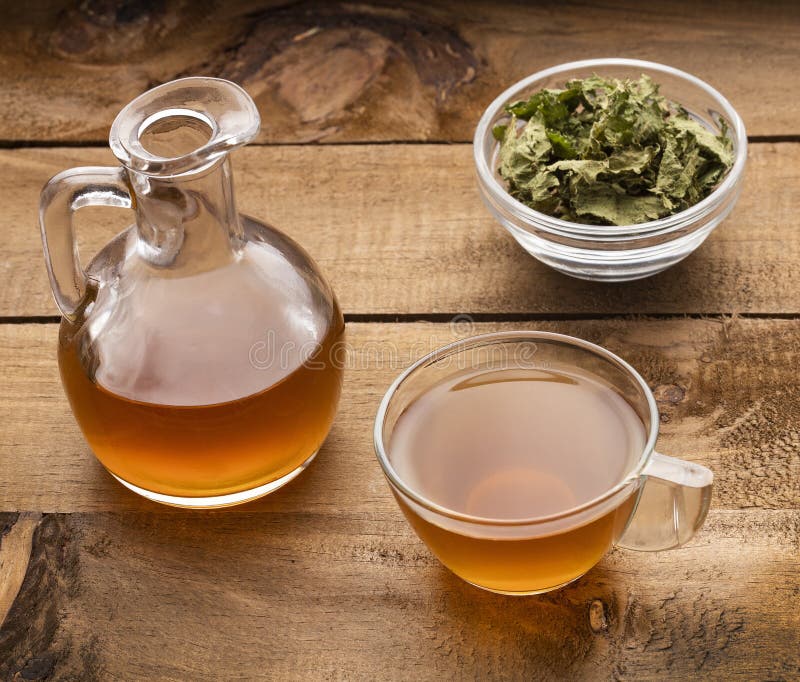 Infusion of Dried Nettle Leaves - Urtica Stock Photo - Image of drink ...