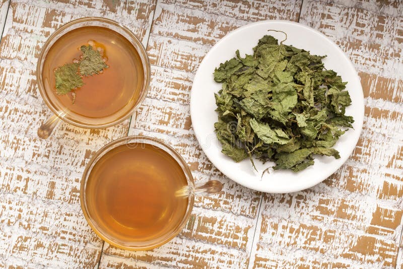 Infusion of Dried Nettle Leaves - Urtica Stock Image - Image of ...