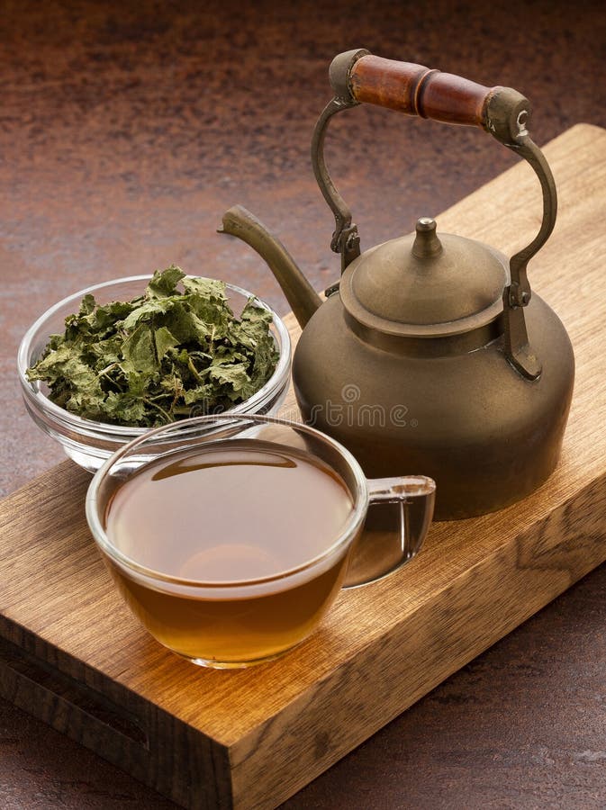 Infusion of Dried Nettle Leaves - Urtica Stock Image - Image of nettle ...
