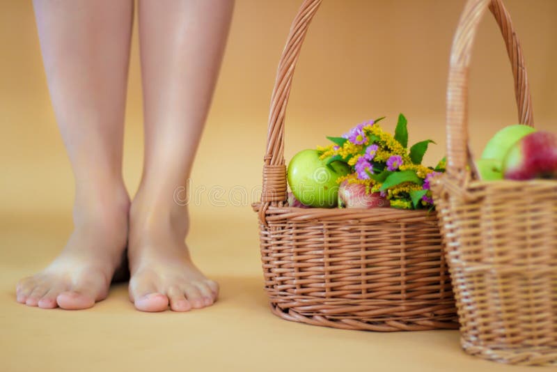 Ingathering stock photo. Image of summer, baskets, wildflowers - 50847168