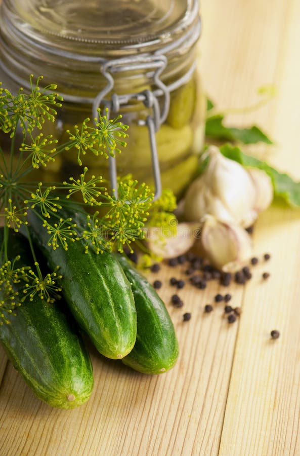 Verse augurken stock foto. Image of azijn, saus, dille - 35093376