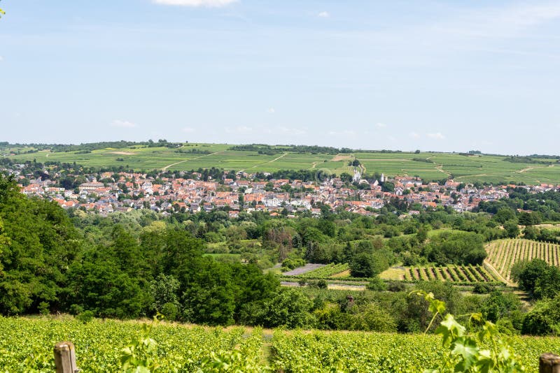 Ingelheim, Rhein, Germany during Summertime Stock Image - Image of ...