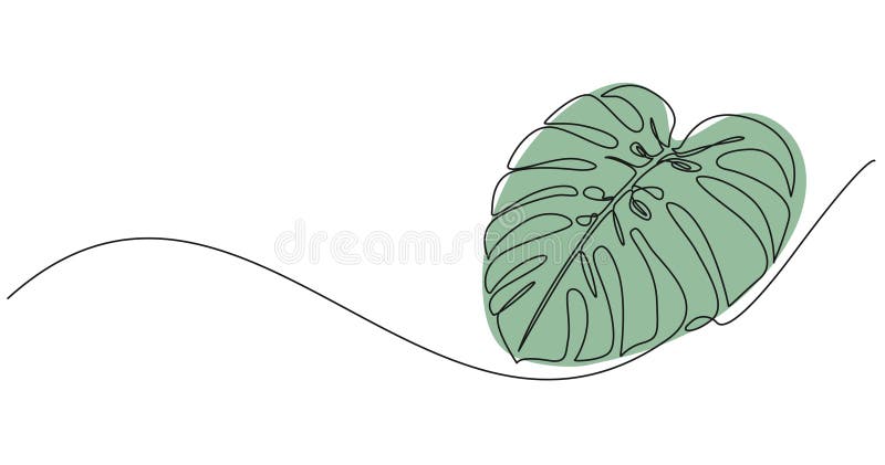 Single Line Drawing of a Monstera Leaf Stock Vector - Illustration of ...