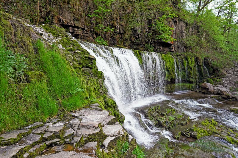 Ingleton Waterfalls Trail stock image. Image of moist - 249637085
