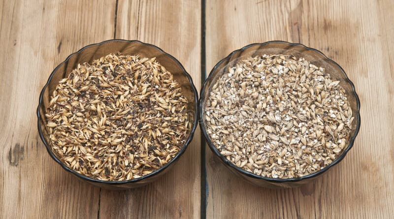 Ingredientes, Saltos Y Malta De La Cerveza Imagen de archivo - Imagen ...