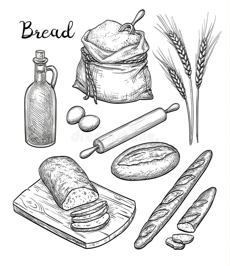 Bread and Ingredients. stock vector. Illustration of grisini - 89779418