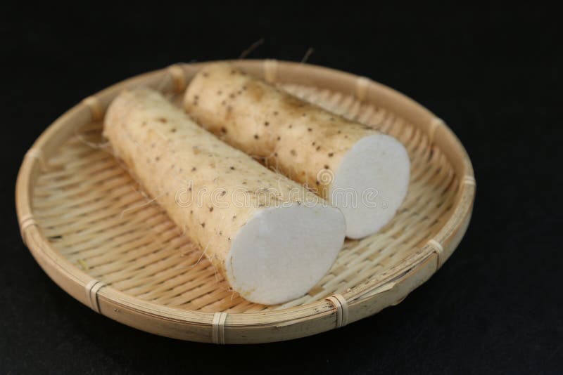 A vegetable called yam stock photo. Image of japanese - 117307074
