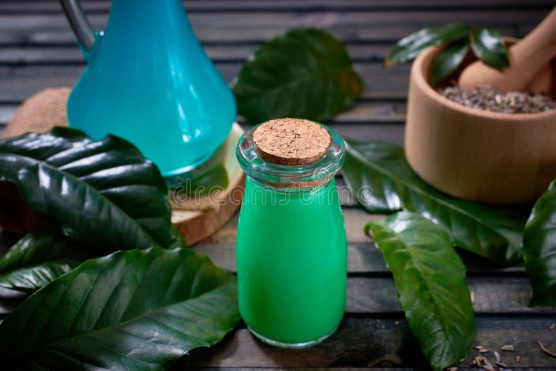 Ingredients for Making a Potion. Leaves Flowers Bottles Stock Photo ...