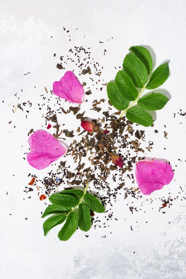 Ingredients for Making Tea with Wild Rose on a White Background, Top ...