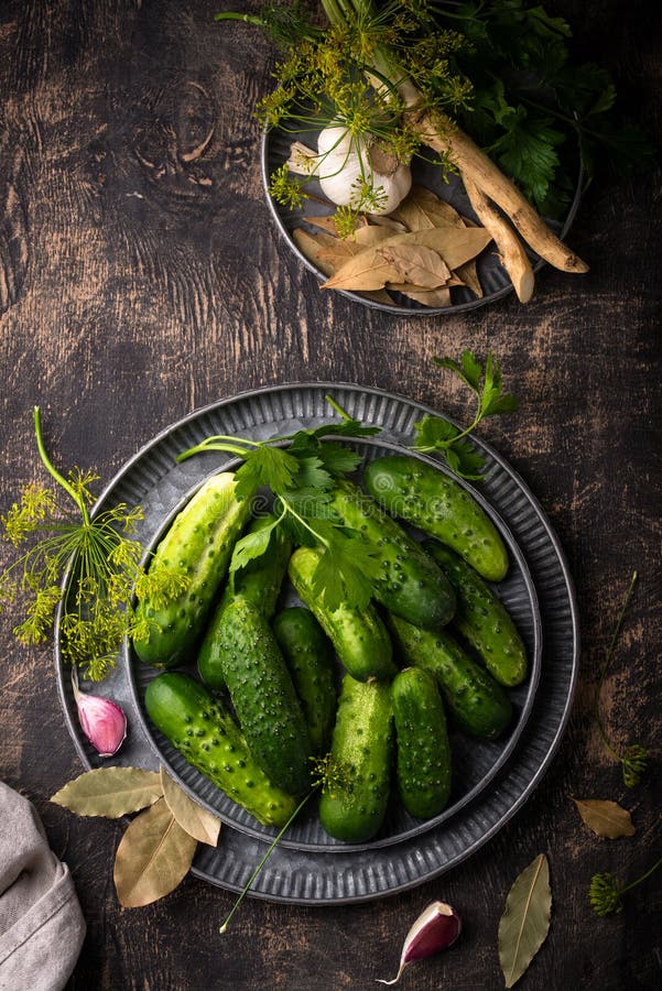 Ingredients for Pickled or Marinated Cucumber Stock Photo - Image of ...