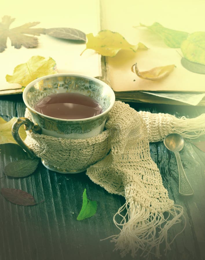 Warm tea for fall days stock photo. Image of fall, colour - 103350242