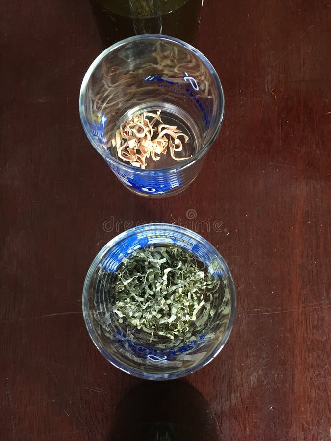 Herbal Stevia Tea stock image. Image of freshness, closeup - 181583307