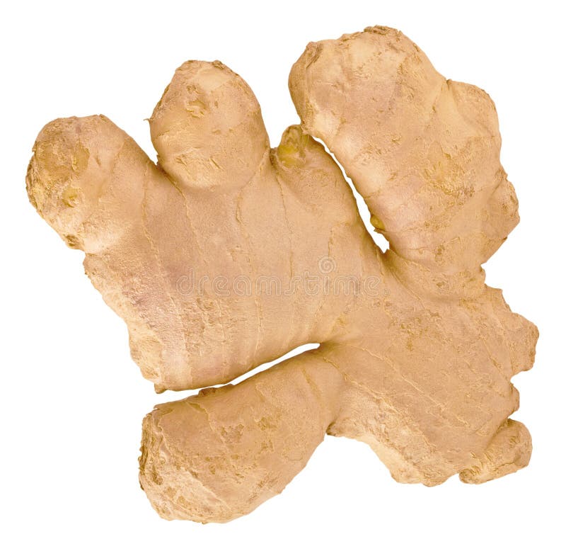 Ingwerwurzel stockbild. Bild von koch, gesund, suppe - 11442627