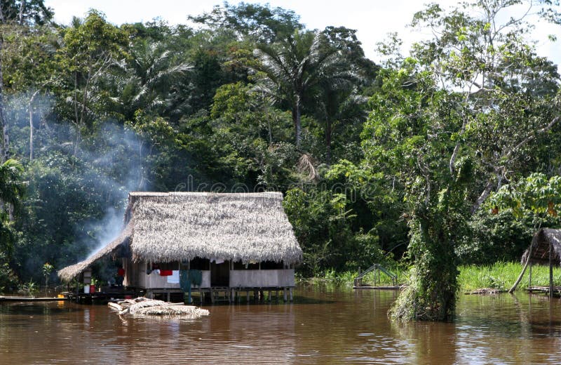 Inheems Huis stock foto. Image of gras, zuiden, iquitos - 29042406