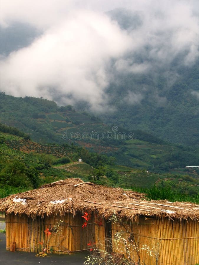 Inheemse Woning stock foto. Image of bomen, woning, bamboe - 2431012