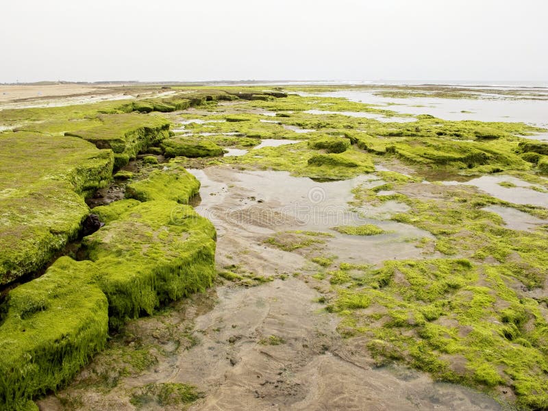 Inhospitable Atlantic Coast, Morocco Stock Photo - Image of ocean ...