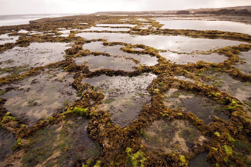 Inhospitable Atlantic Coast, Morocco Stock Photo - Image of scenery ...