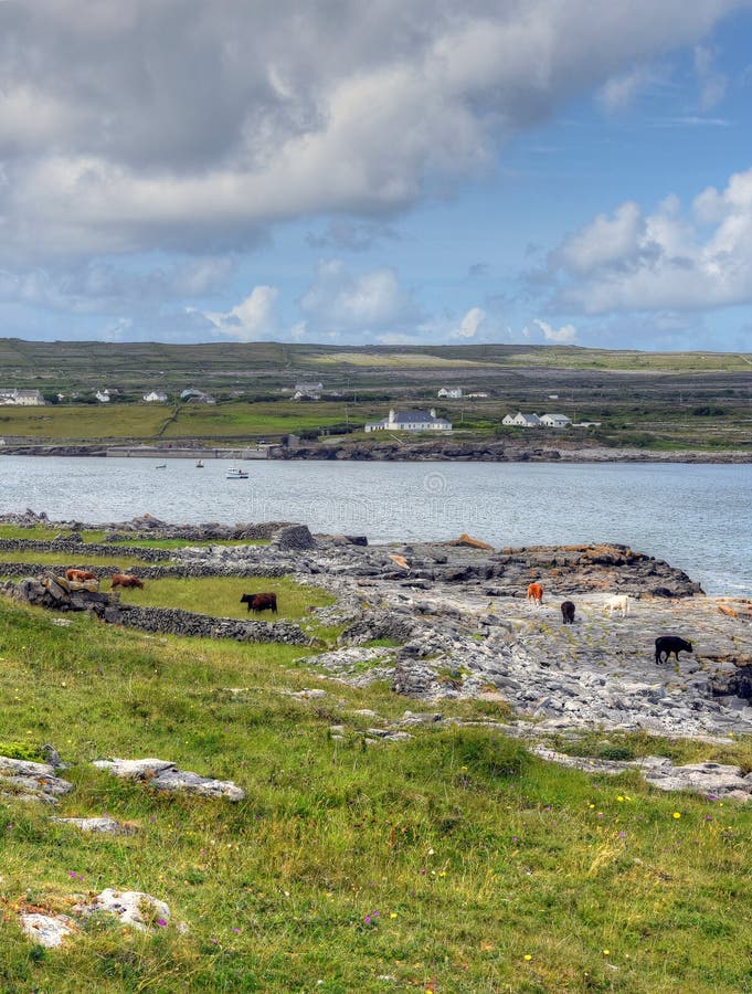 Inishmore on the Aran Islands, Ireland Stock Photo - Image of aengus ...