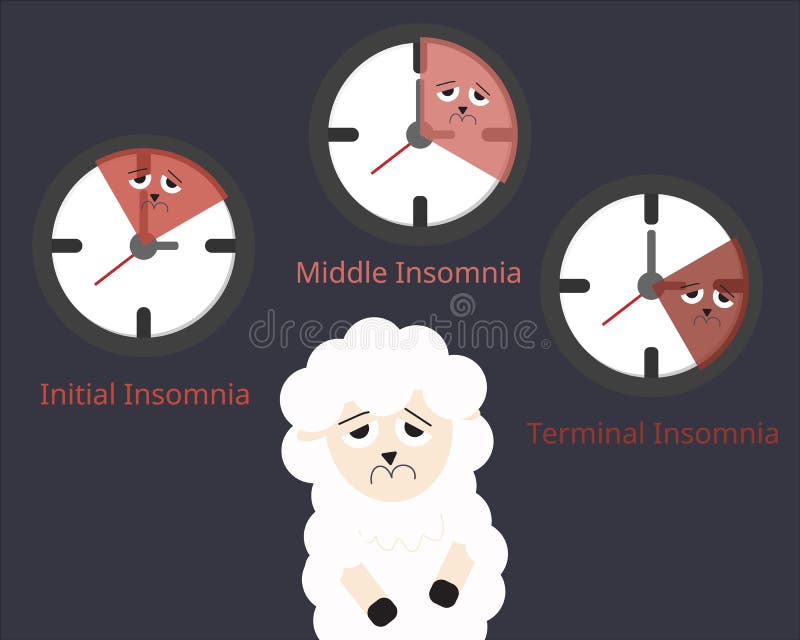 Initial Insomnia, Middle Insomnia and Terminal Insomnia Stock Vector ...