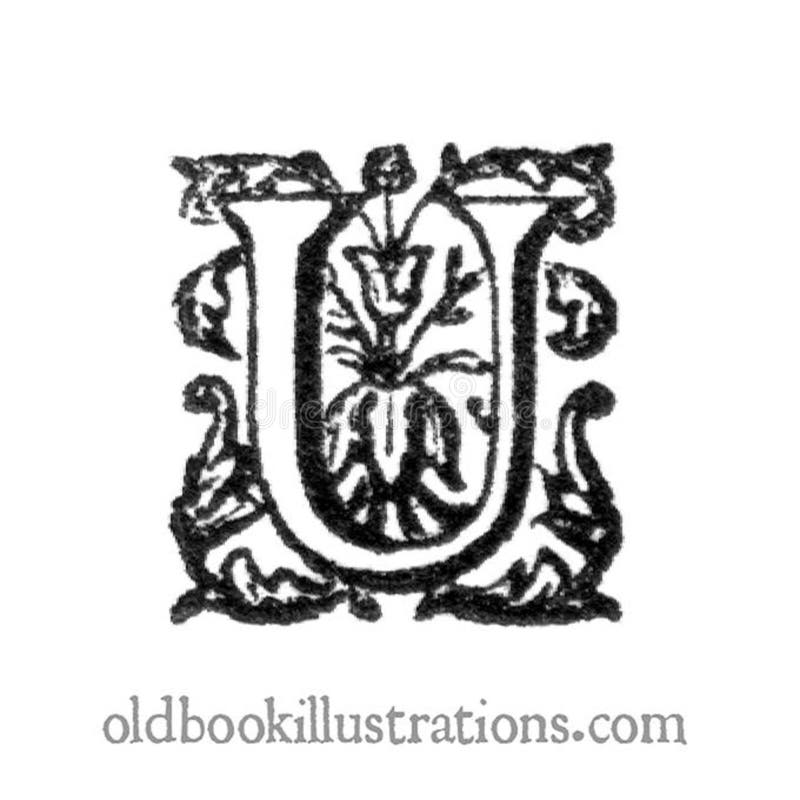 Initial Letterâ€”U stock image. Image of - 92134093