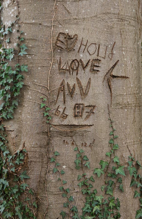 Initials Carved in Bark of Tree Stock Image - Image of couples, damaged ...