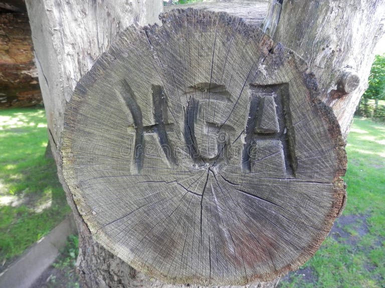 Initials Carved in Tree Trunk Stock Photo - Image of letters, initials ...