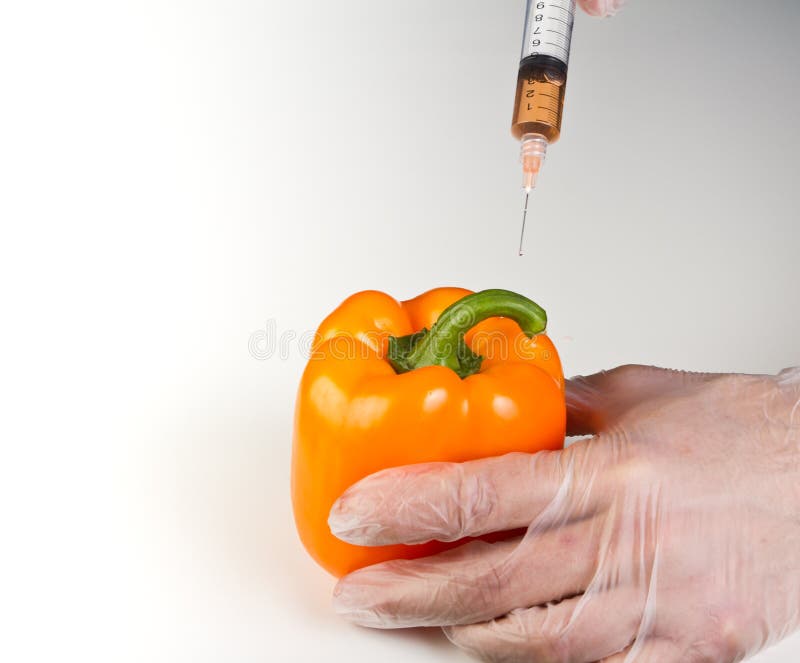 Injecting a Gmo Bell Pepper Stock Image - Image of change, frankenfood ...
