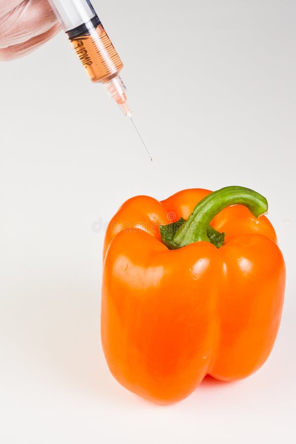 Injecting a Gmo Bell Pepper Stock Image - Image of close, chemicals ...