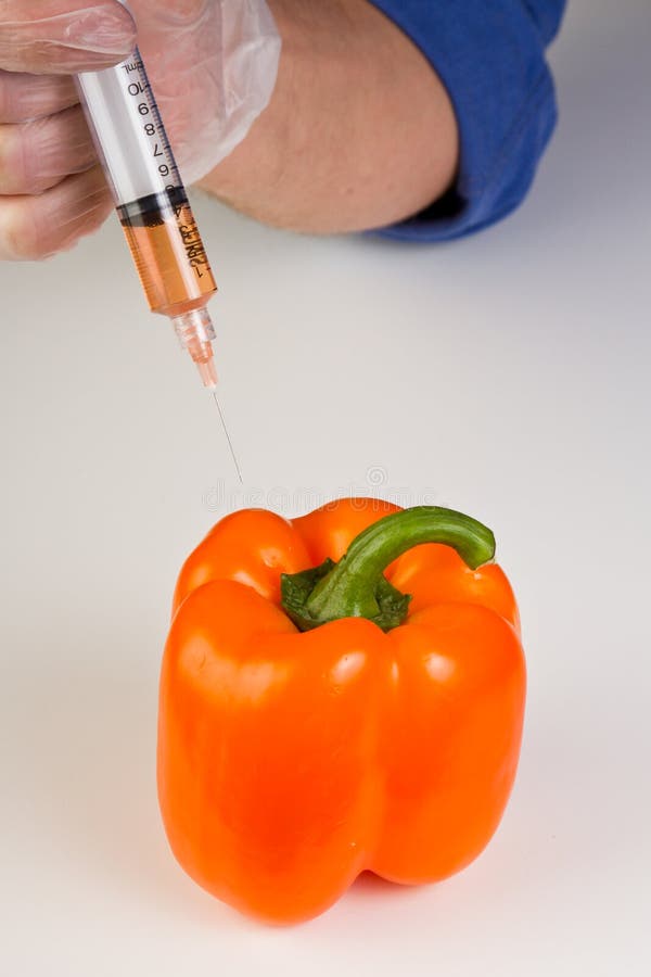 Genetically Modified Tomato, Gmo Stock Image - Image of change ...