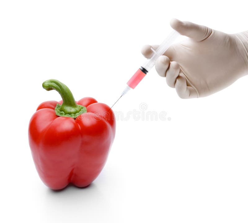 Injecting a Liquid into a Paprika Stock Image - Image of biotechnology ...