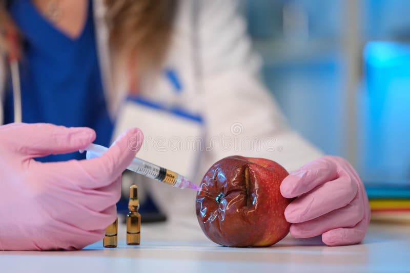 Injecting Science a Comprehensive Examination of GMO Fruits in a ...