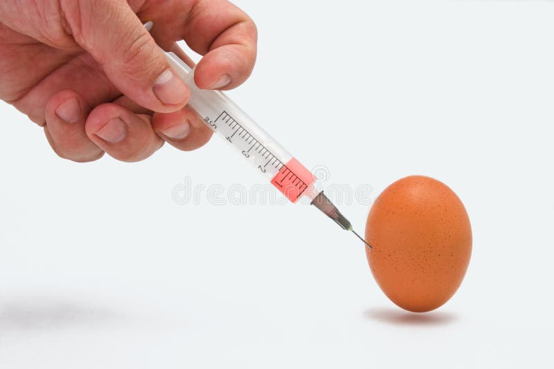 Chick and cracked egg stock image. Image of leaving, fragile - 6675865