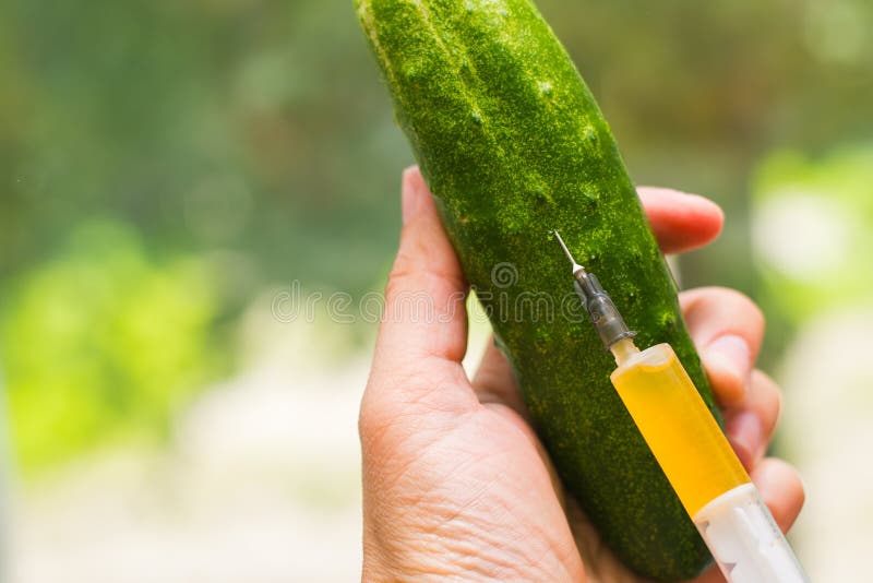 488 Modified Cucumber Stock Photos - Free & Royalty-Free Stock Photos ...