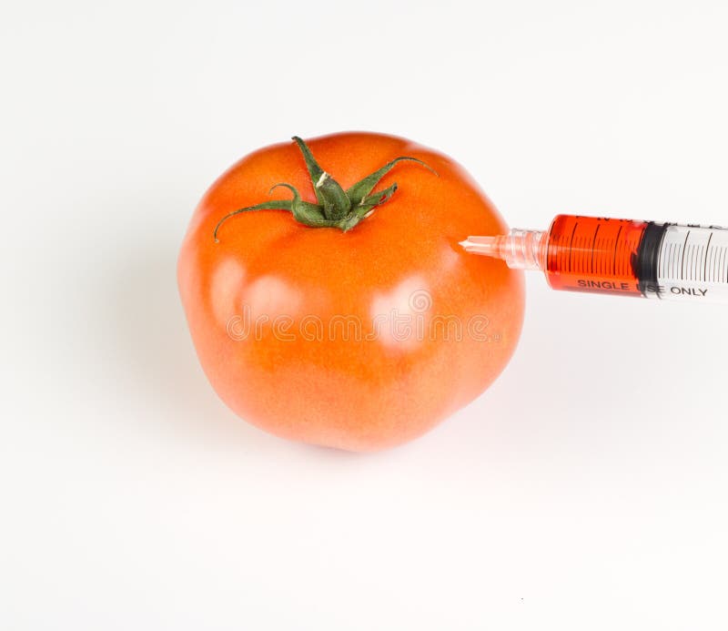 Injection D'une Tomate, OGM Image stock - Image du recherche, médical ...