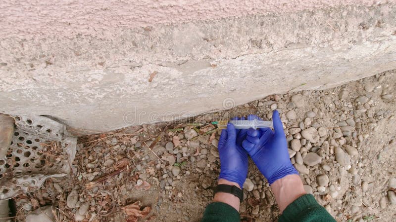 Injection of Herbicides into Plants Slow Motion Stock Video - Video of ...