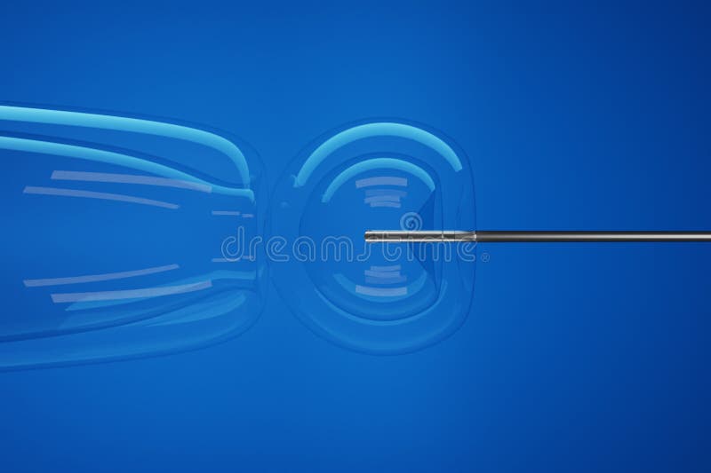Injection of Stem Cell into a Transparent Embryo by a Silver Sharp ...