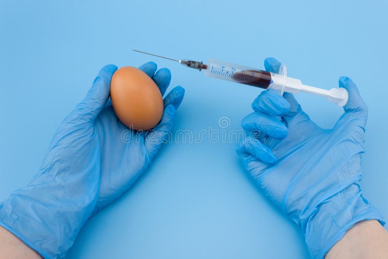 Injection with a Syringe into the Egg Stock Photo - Image of angry ...