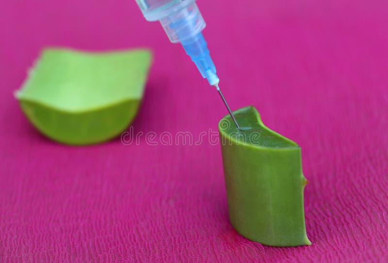 Injection Syringe and Fresh Aloe Vera Stock Image - Image of ...