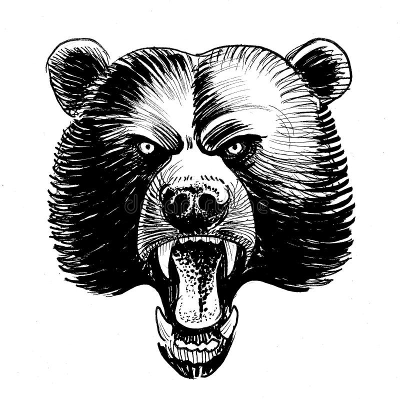 Roaring Bear Drawing