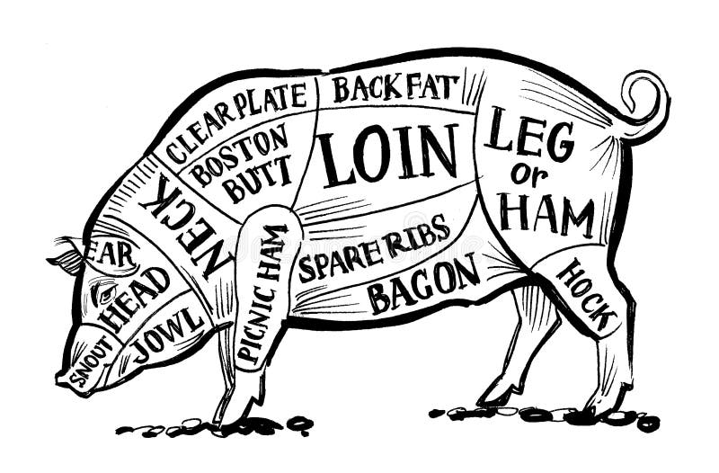 Butcher Pig Chart Stock Illustrations – 489 Butcher Pig Chart Stock ...